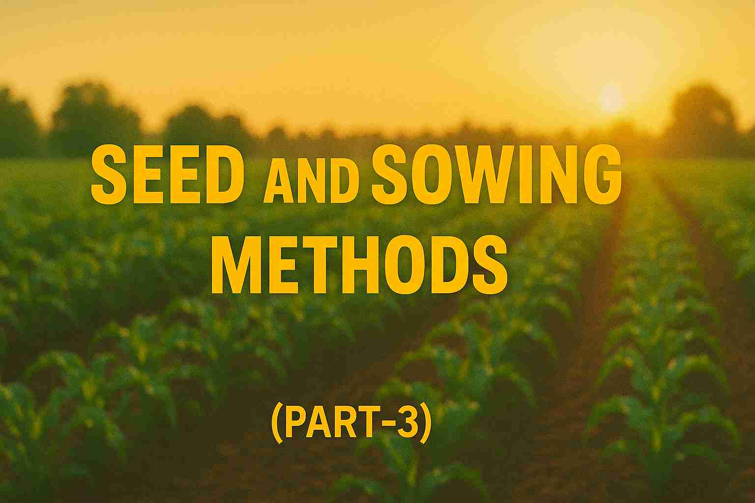Seeds and Sowing Methods in Agronomy (PPT) (Free download)