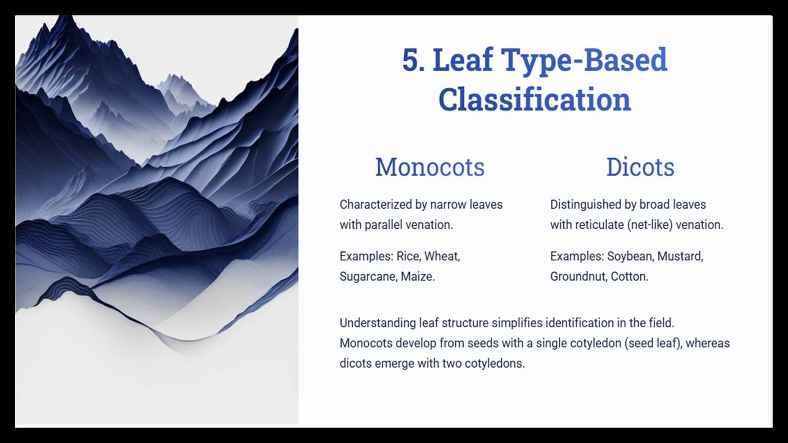 Field Crops and their Classification PPT | (Free Downlaod)